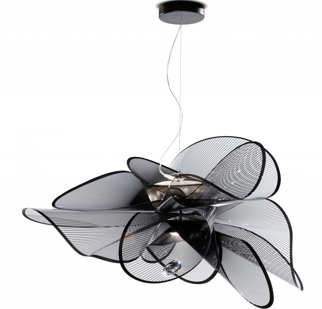 La Belle Etoile - Tisva